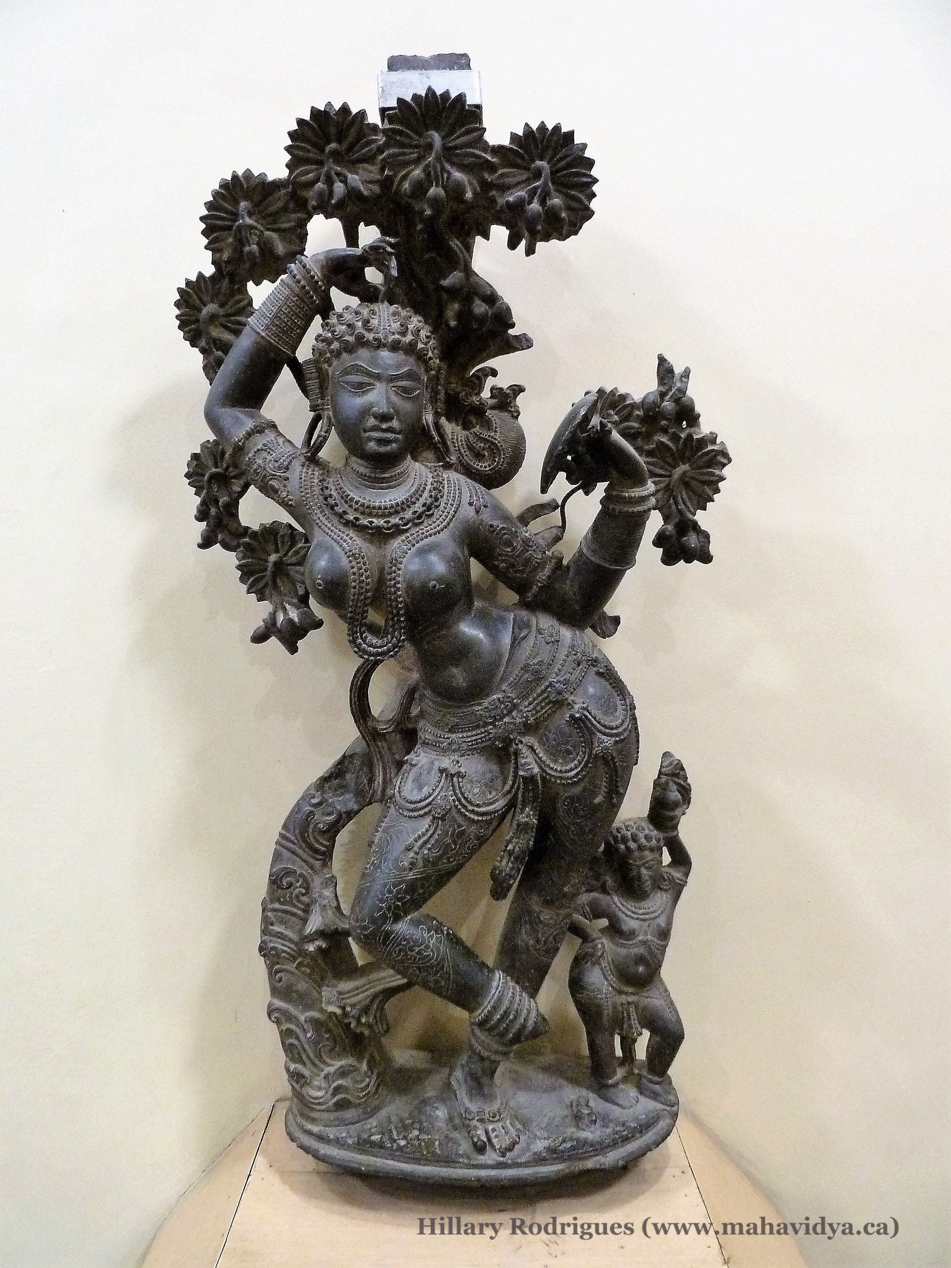 Deities and Entities | Mahavidya