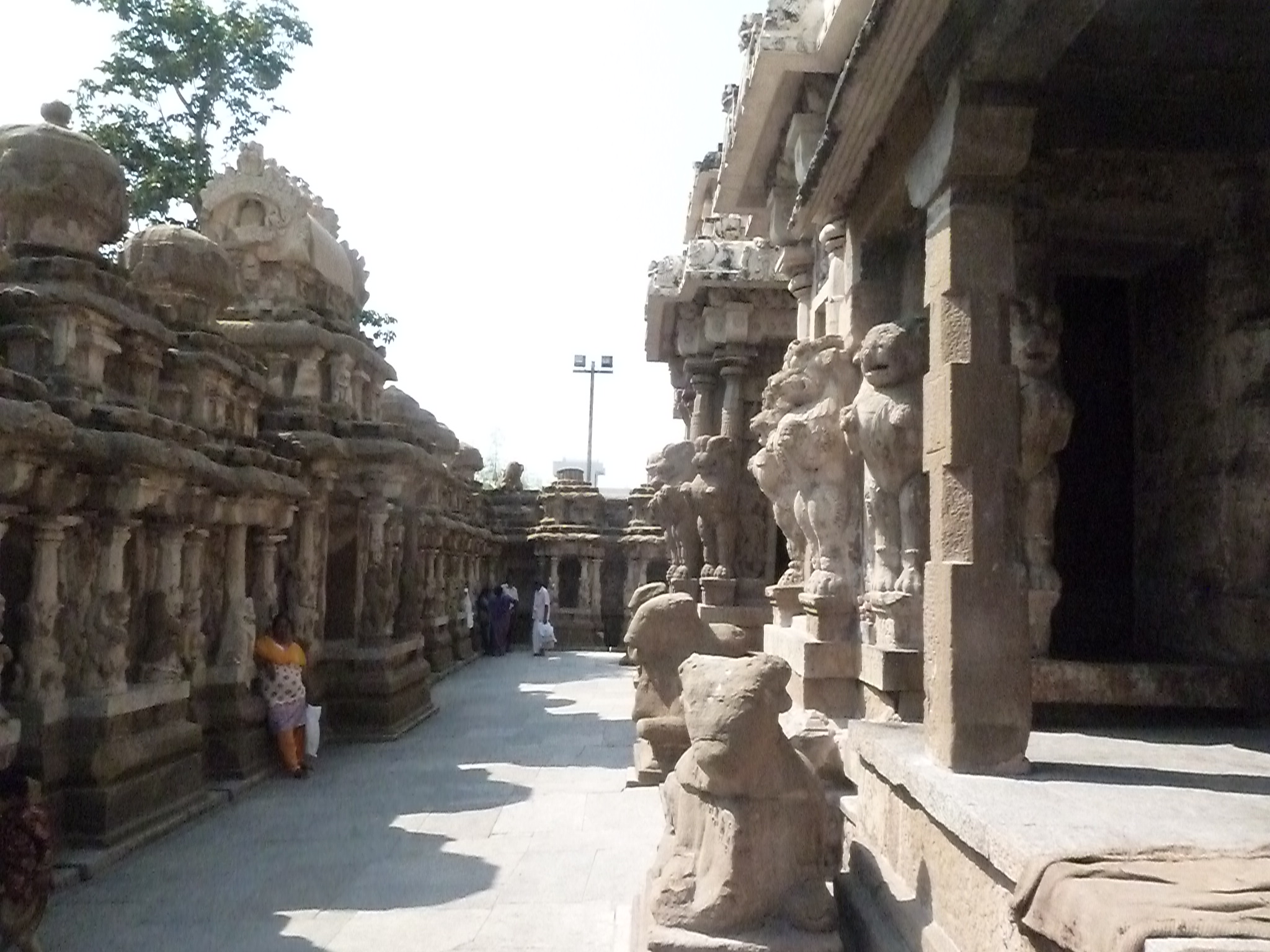 Kailasanatha Temple in Kanchipuram | Mahavidya